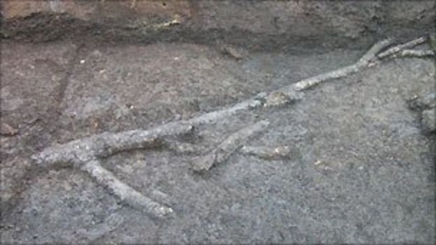 Archaeologists discover Britain's 'oldest house' - BBC News