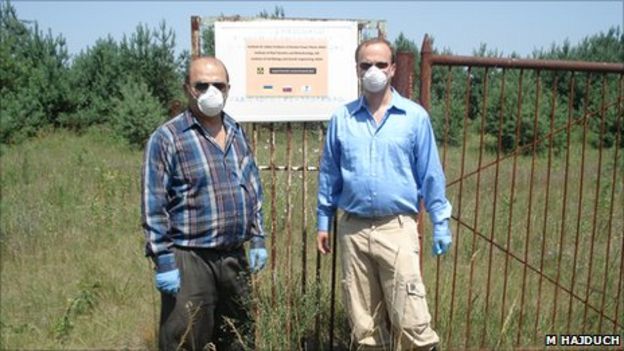 Chernobyl plant life endures radioactivity - BBC News