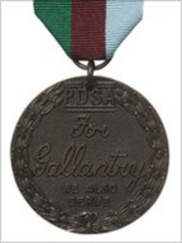 Wartime hero pigeon Paddy honoured with fly-past - BBC News