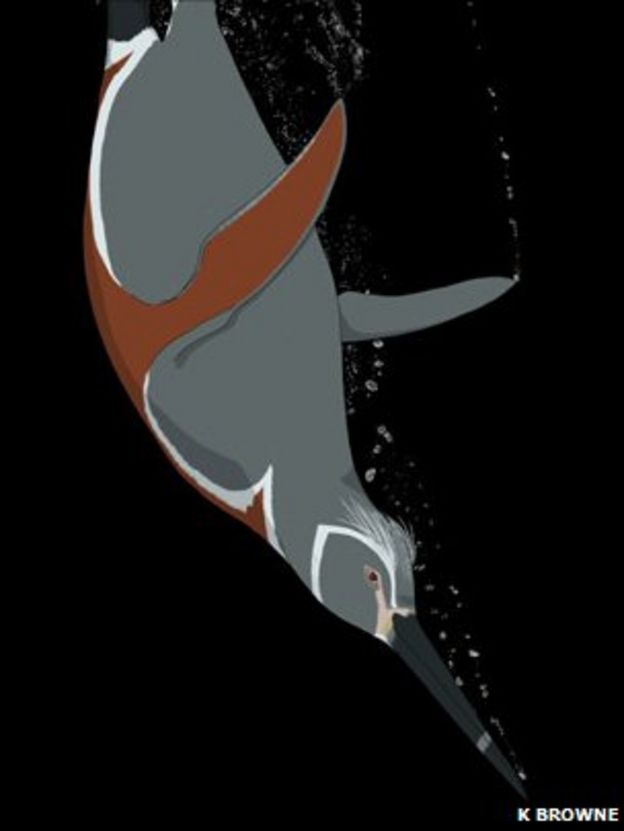 Ancient giant penguin unearthed in Peru - BBC News