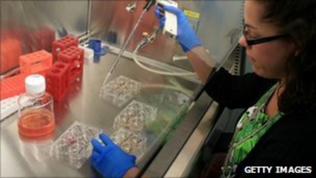 US court overturns stem cell research funding ban - BBC News
