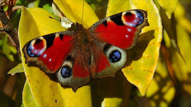 Your pictures of Scotland: 24 Sept- 1 Oct - BBC News