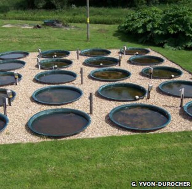 Warming 'destabilises aquatic ecosystems' - BBC News