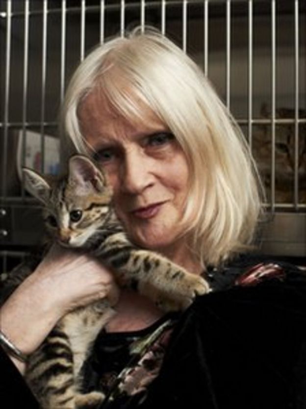 Why do some women devote their lives to saving cats? - BBC News