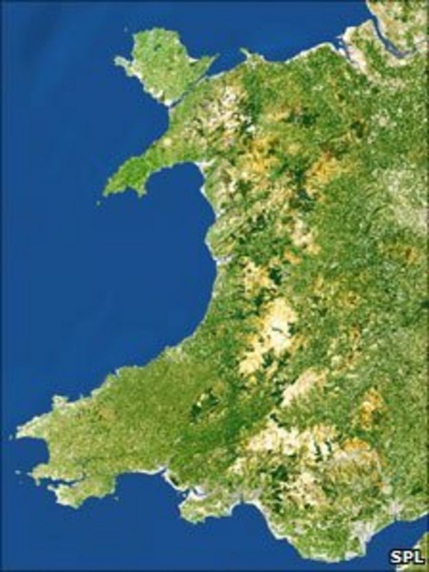 Satellite wildlife map of Wales could be EU 'first' - BBC News