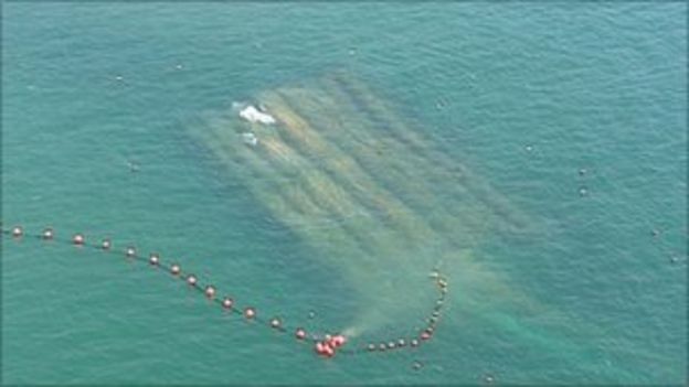 Has the Boscombe surf reef improved the town a year on? - BBC News