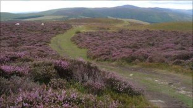 North Wales hillfort test of Iron Age communication - BBC News