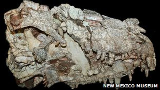 Rainforest collapse kickstarted reptile evolution - BBC News