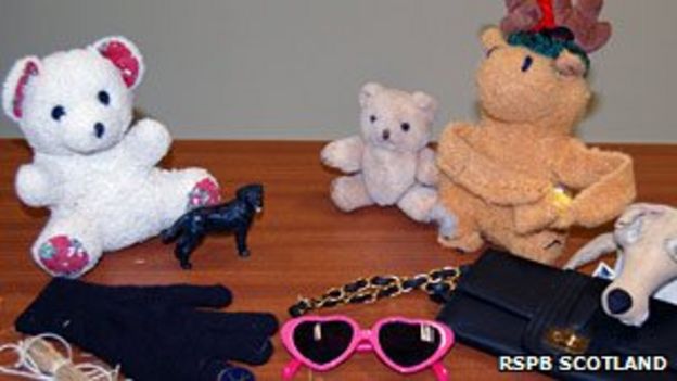 Stuffed toy Rudolph is red kite target - BBC News