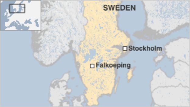 Mysterious bird deaths hit Sweden - BBC News