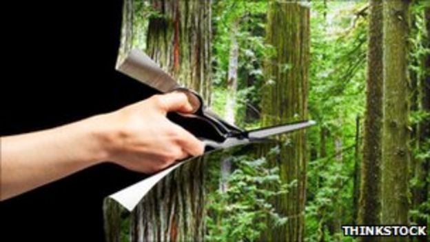 A Point of View: Has our relationship with nature changed? - BBC News