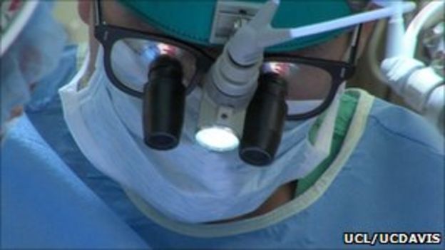 Brenda Jensen's voice restored after larynx transplant - BBC News