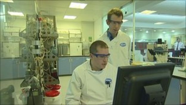 Minister David Willetts visits threatened Pfizer site - BBC News