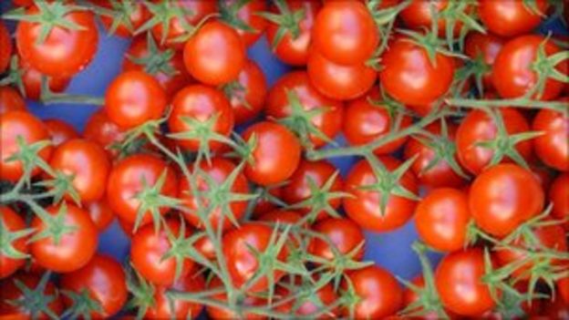 Italy to probe mafia's 'stranglehold on tomato trade' - BBC News