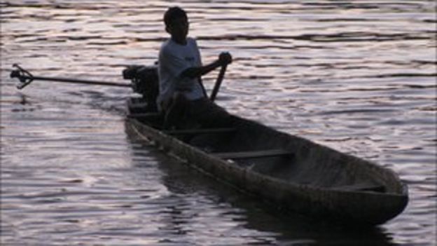 Peru vaccination drive targets bat-borne rabies - BBC News