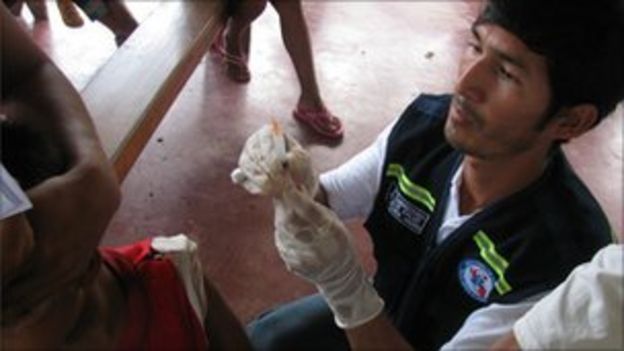 Peru vaccination drive targets bat-borne rabies - BBC News
