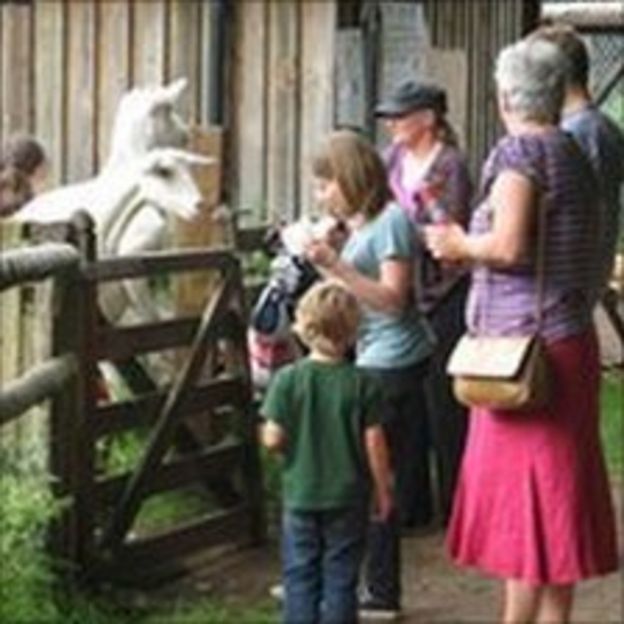 Community grant helps Bristol's Windmill Hill City Farm - BBC News