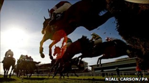 Irish racehorses led to slaughter as recession bites - BBC News