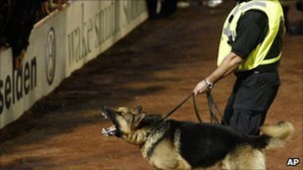 Police dog bites cost forces thousands in compensation - BBC News
