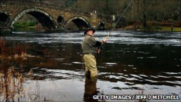 Salmon rod fishing catches at record high in Scotland - BBC News