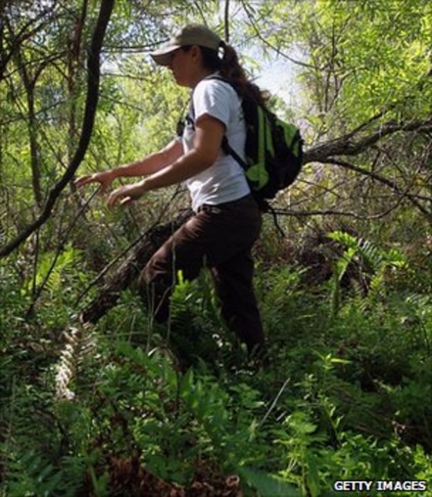 Botanic gardens 'play role in invasive species spread' - BBC News