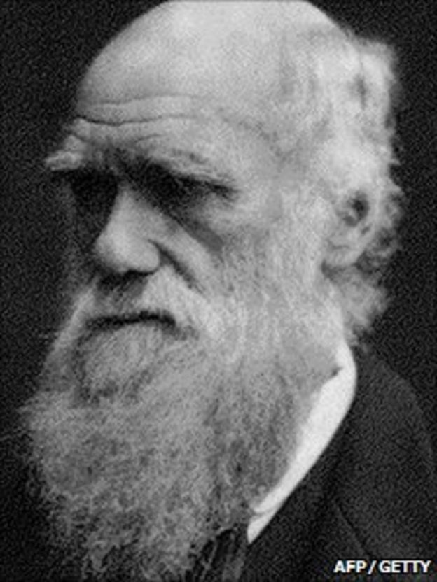 Why does Charles Darwin eclipse Alfred Russel Wallace? - BBC News