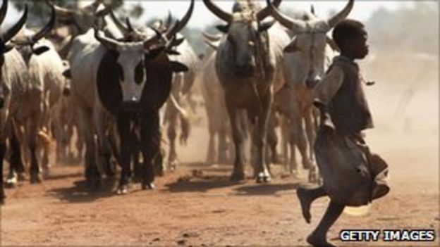 Central African Republic profile - Facts - BBC News