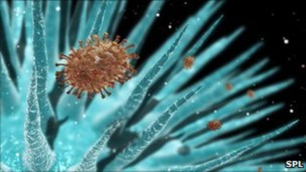 Nasal aerosol flu treatment 'shows promise' - BBC News