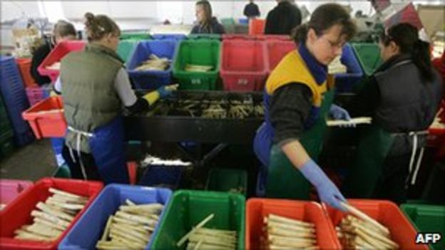 Germany expects influx of Polish workers - BBC News