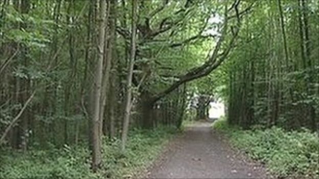 Kent quarry will destroy rare ancient woods - charity - BBC News
