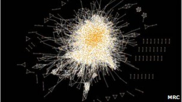 Gene clue to how superbugs attack - BBC News