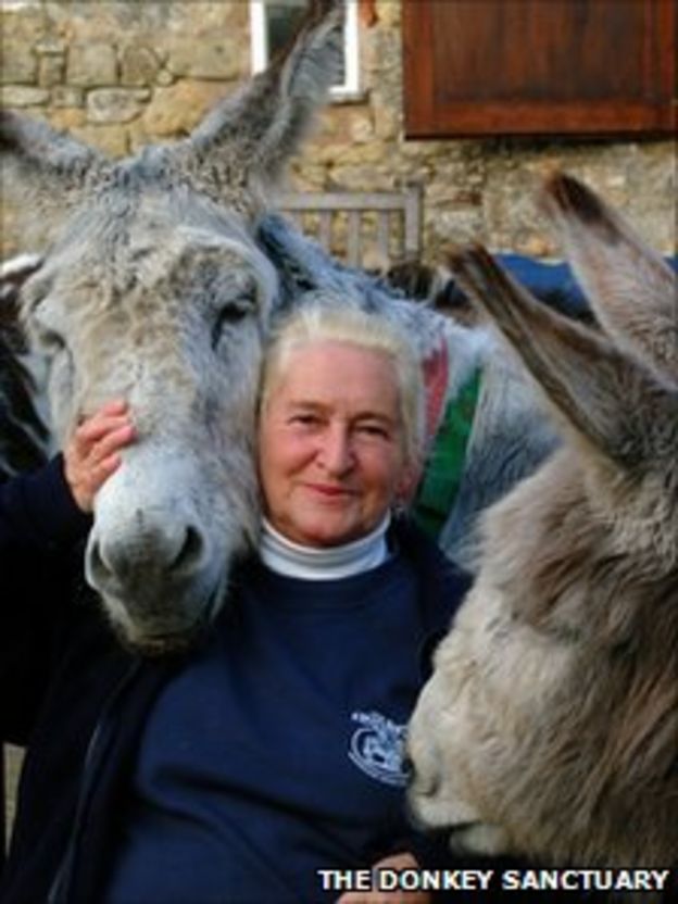 Sidmouth Donkey Sanctuary founder dies - BBC News
