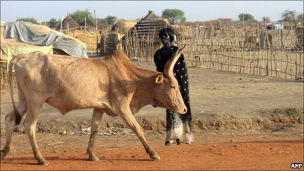 Sudan: Why Abyei is crucial to north and south - BBC News