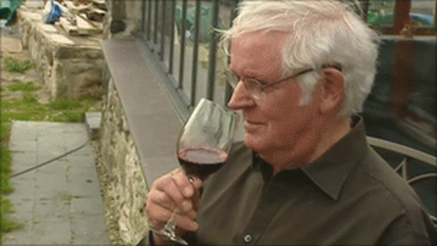 Pant Du vineyard in Gwynedd produces its first red wine - BBC News