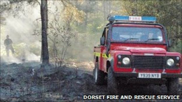 Hurn Forest heath fire in Dorset thought to be deliberate - BBC News