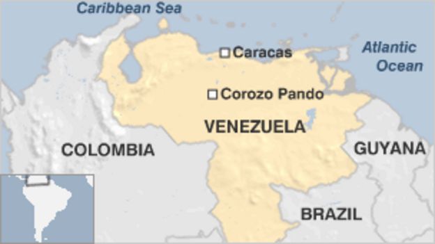 Venezuela's wildlife conservation sees mixed results - BBC News