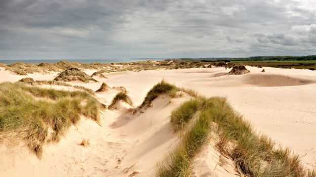 Your Pictures of Scotland: 3 - 10 June - BBC News