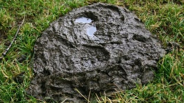 National poo museum opens - BBC Newsround