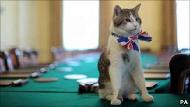 Number 10 cat Larry catches three mice - BBC News