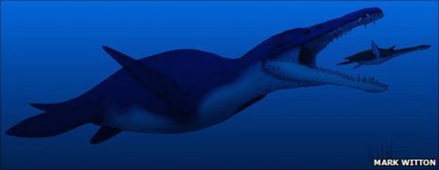 Kevan Sheehan: Dorset man names new pliosaur - BBC News