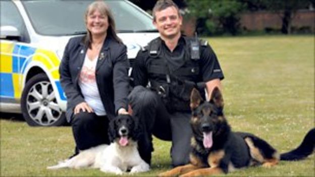 Sniffer dogs donated to Staffordshire Police by charity - BBC News