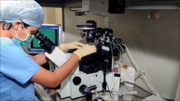 Womb for rent: A tale of two mothers - BBC News