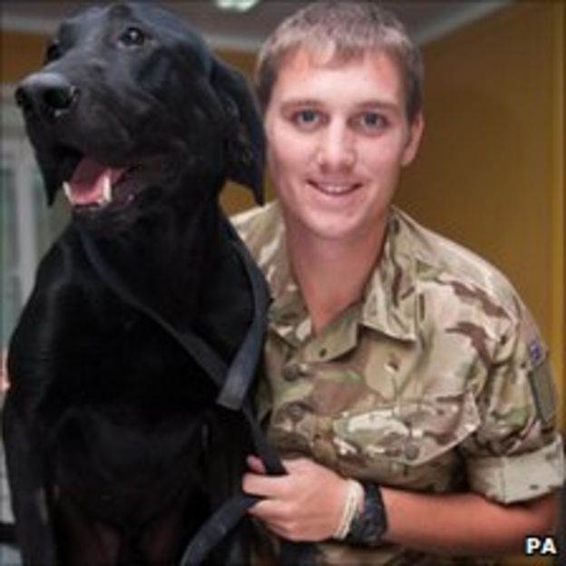 Injured war dog Hobo back on duty after Taliban attack - BBC News