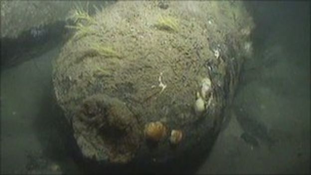 World War II mine detonated in the North Sea safely - BBC News