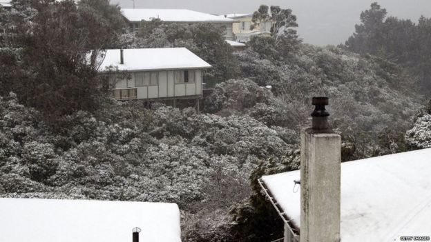 Pictures: Heaviest snow for 50 years in New Zealand - BBC Newsround