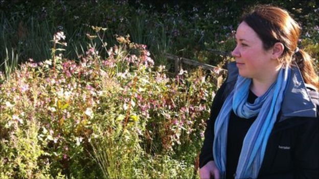 Environment Agency Wales to boost 20 wetland habitats - BBC News
