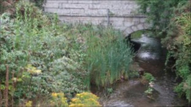 Helston residents raise concerns over river flooding - BBC News