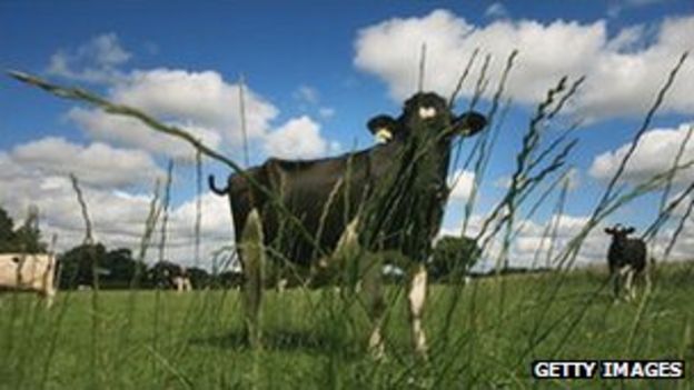 Open verdict on death of John Flock in Gloucestershire - BBC News