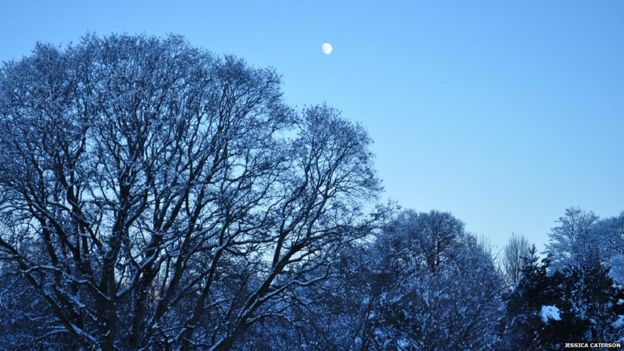 Amazing photos from the Young Astronomer awards - BBC Newsround