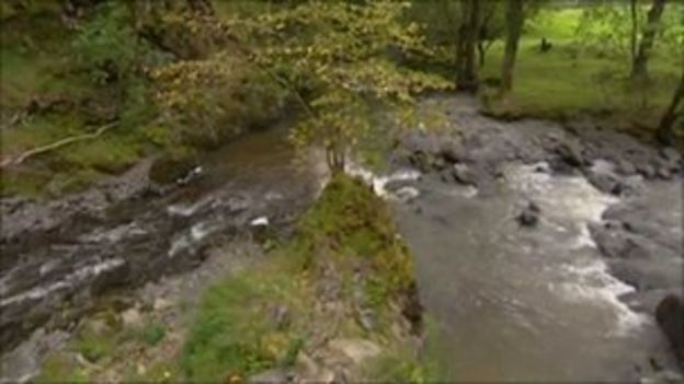 Mallwyd farmer Tegwyn Jones turns to river for power - BBC News